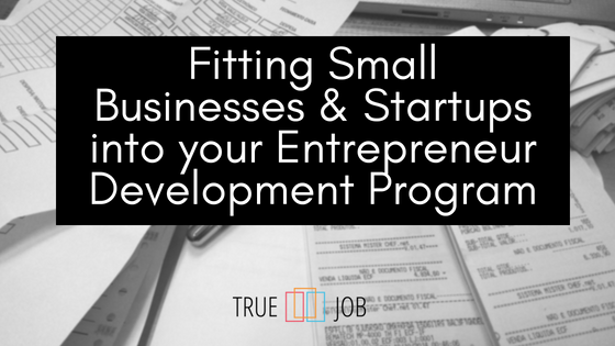Fitting Small Businesses & Startups into your Entrepreneur Development ...